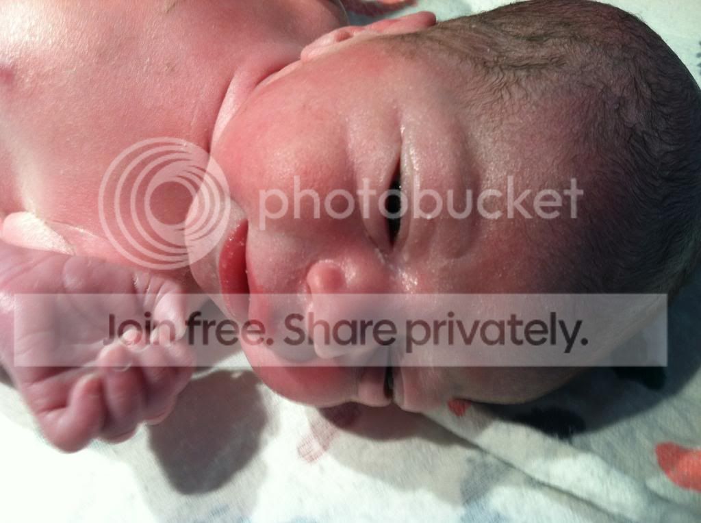 A new retro baby on the way: now with photographic evidence > AR-15 / M ...